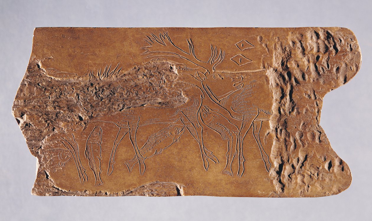 Reindeer Horn Carved with Deer and Leaping Salmon, from the Grotte de ...