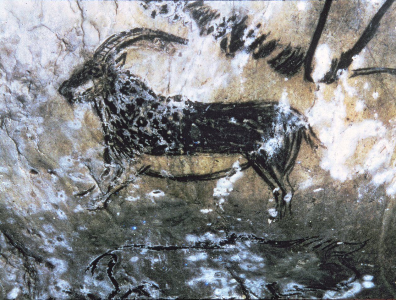Goat or Chamois, Rock Painting in the Black Room, Magdalenian