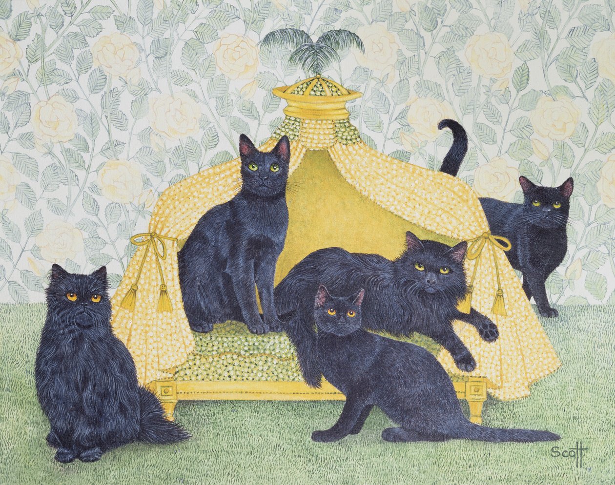 Black Velvet by Pat Scott: Highest-quality art reproduction