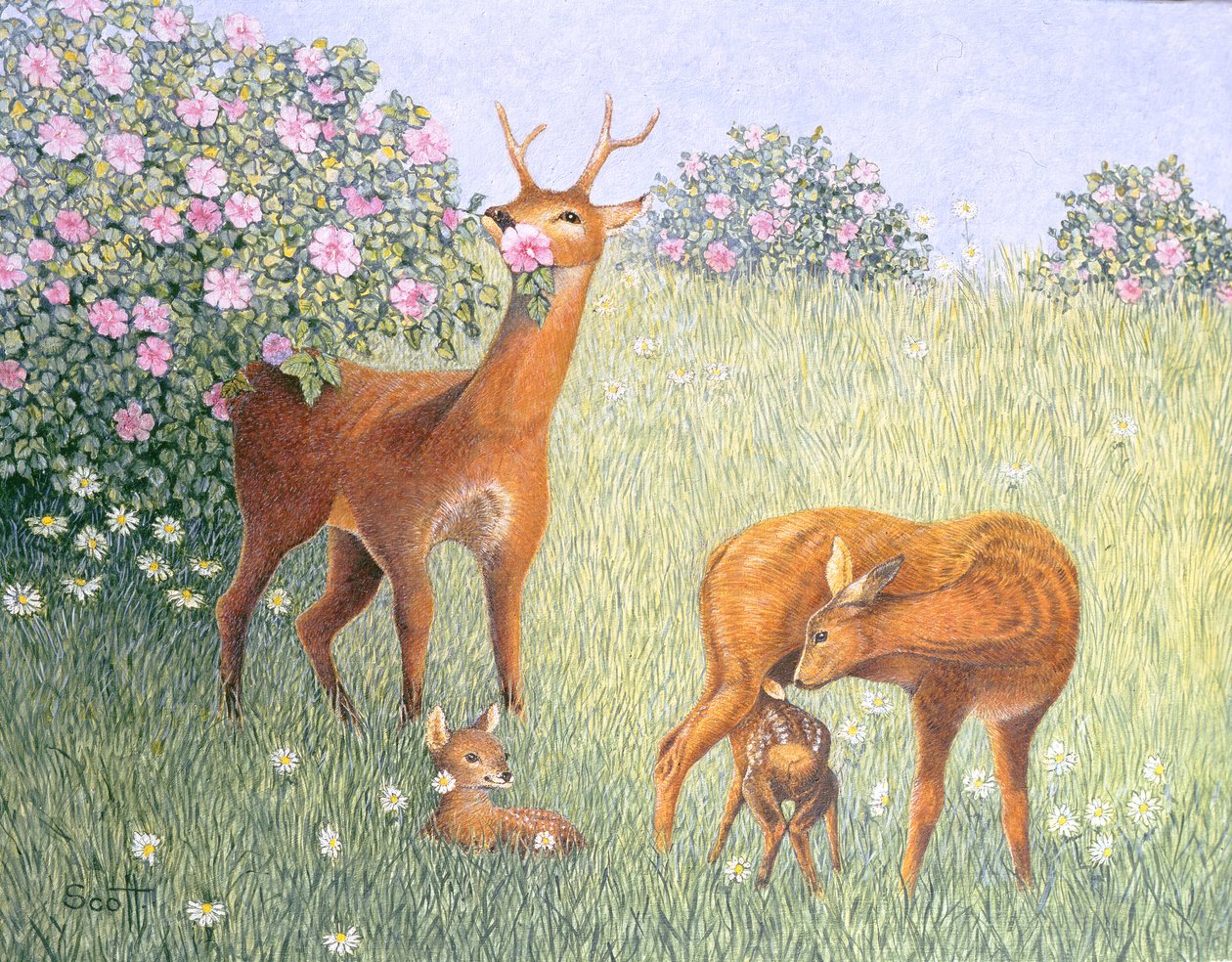 Deer Family by Pat Scott: Highest-quality art reproduction