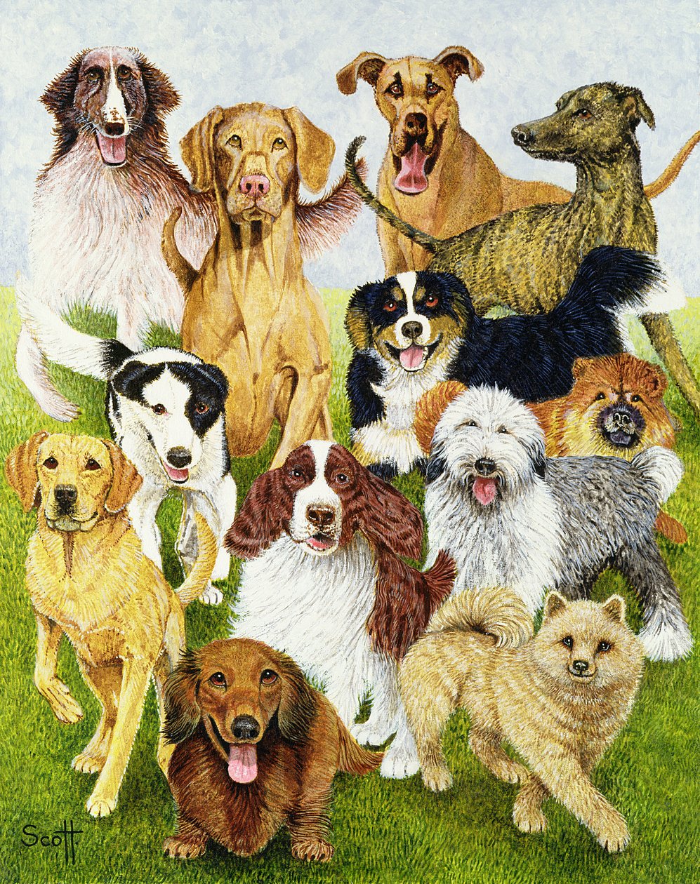 Dog Days by Pat Scott: Highest-quality art reproduction