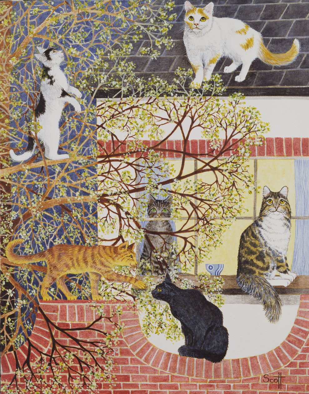 In the Limelight by Pat Scott: Premium art reproduction