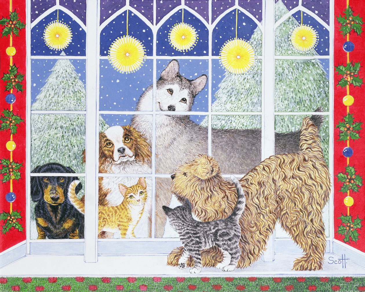 Join the Party by Pat Scott: High-quality fine art print