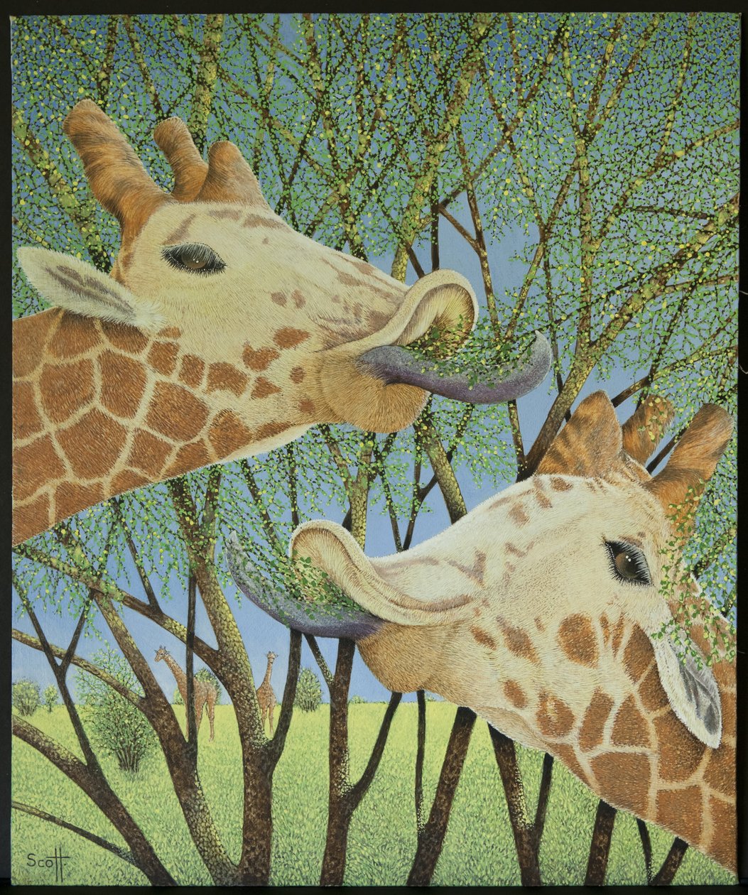 Life at the Top by Pat Scott: Buy fine art print