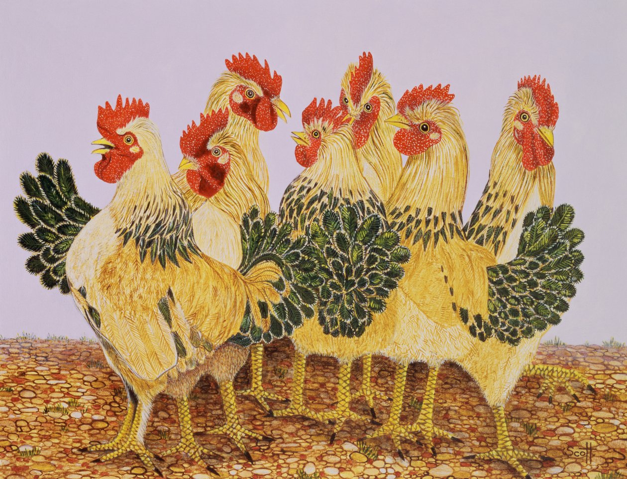 Strutters Ballet by Pat Scott: Buy fine art print