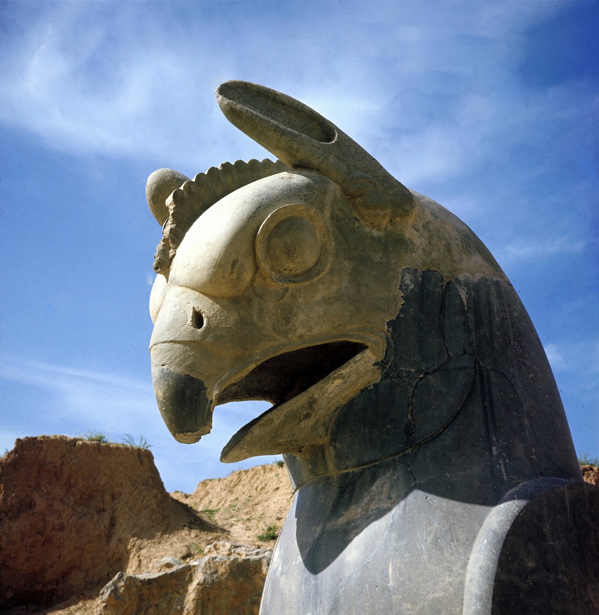 A griffon, legendary creature half eagle, half lion. Column of the ...