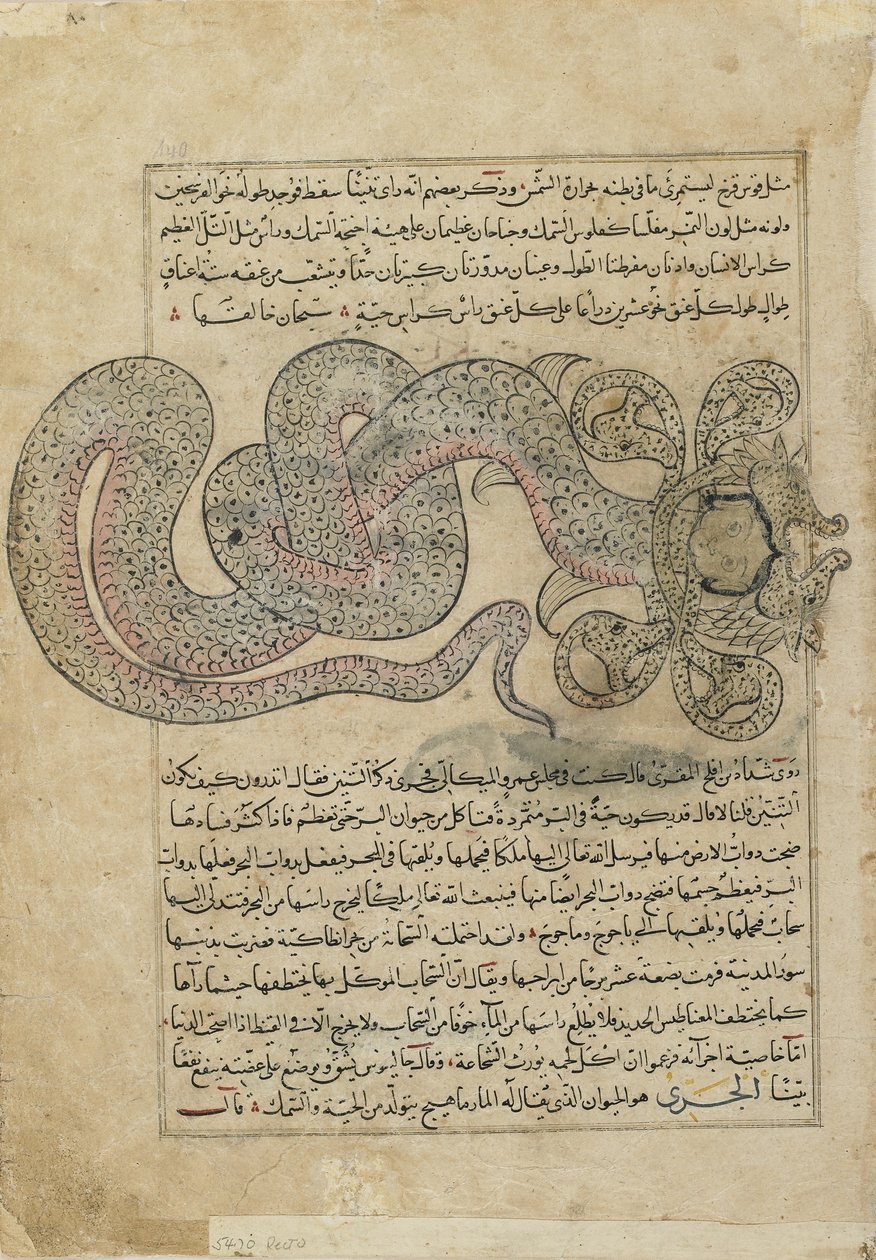 The Sea-Serpent Dragon, Folio from Wonders of Creation by al-Qazvini