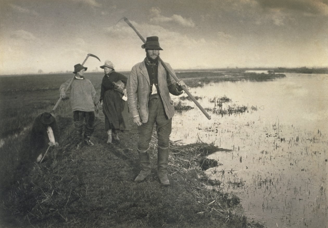 Cutting the Gladdon, Life and Landscape on the Norfolk Broads, c.1886