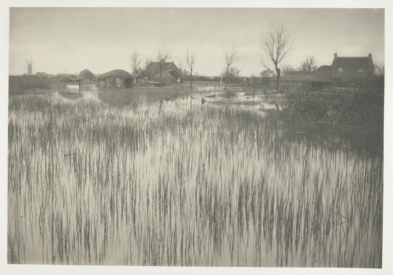 A Rushy Shore by Peter Henry Emerson: Buy fine art print