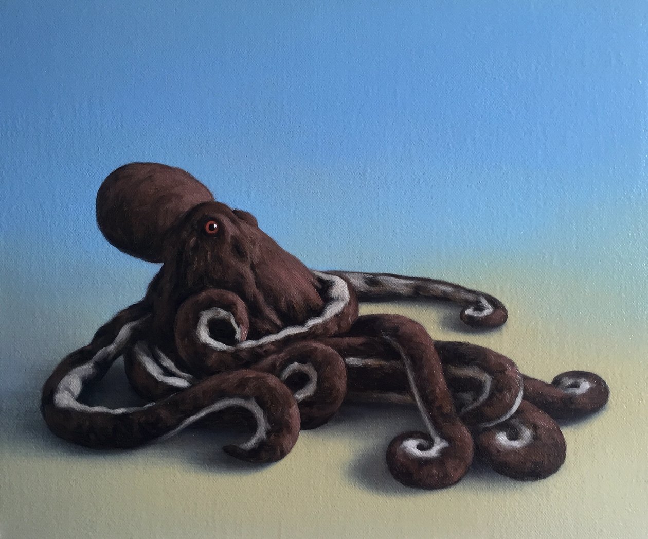 Octopus by Peter Jones: Highest-quality art reproduction