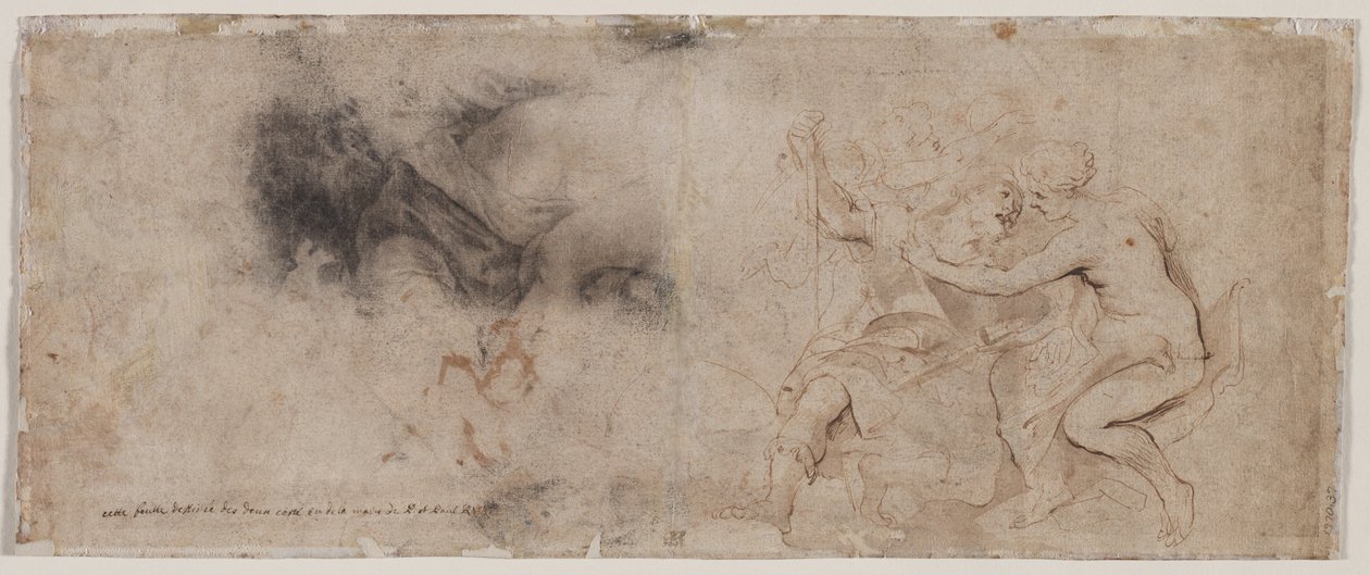 Venus Disarming Mars, Drapery Study by Peter Paul Rubens