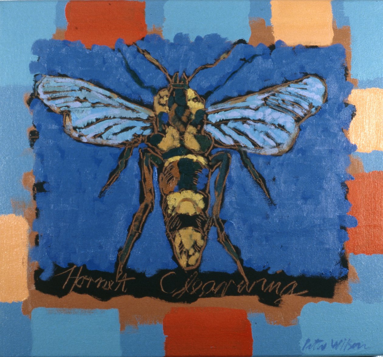 Hornet Clearwing by Peter Wilson: Buy fine art print