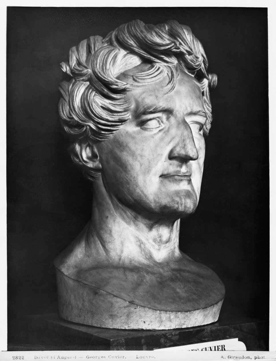 Georges Cuvier (marble) by Pierre Jean David d'Angers