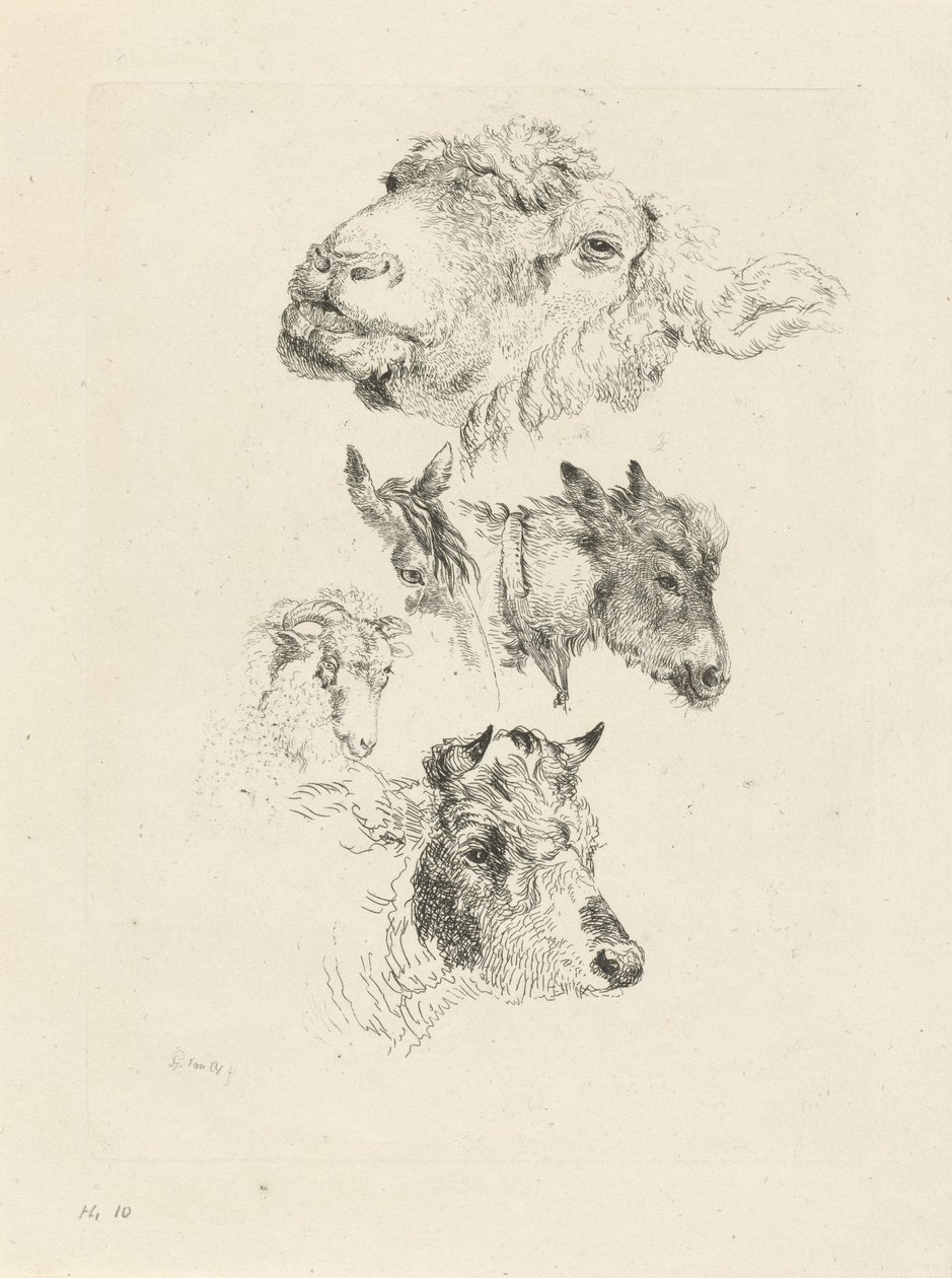 Study Sheet with Sheep, Horse, Donkey, Ram, and Bull Heads