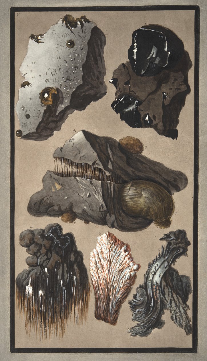 Specimens of Volcanic Matter, from 'Campi Phlegraei: Observations on ...