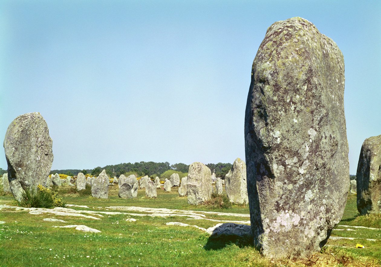 Alignment of standing stones, Megalithic Period, 4th-3rd millennium BC