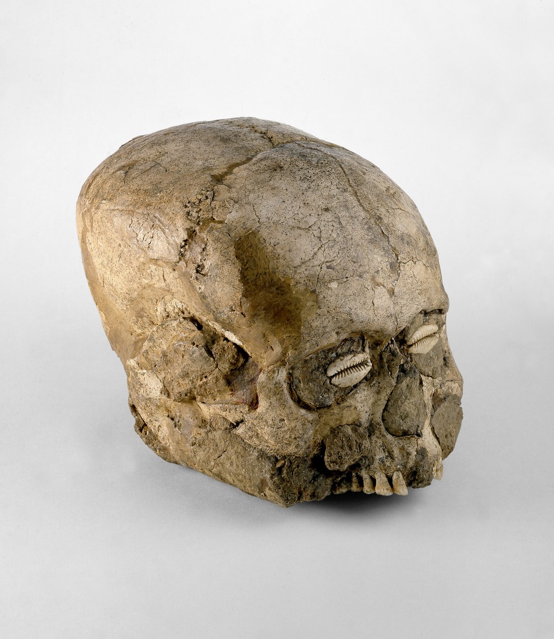 Portrait Skull with Cowrie Shell Eyes, Jericho, c.7th Millennium BC