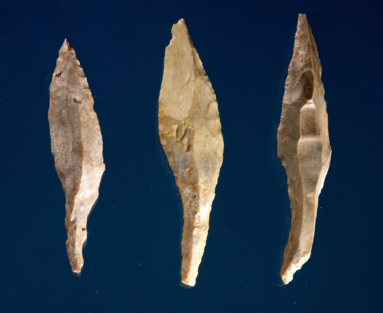 Three arrow heads by Prehistoric: Buy fine art print