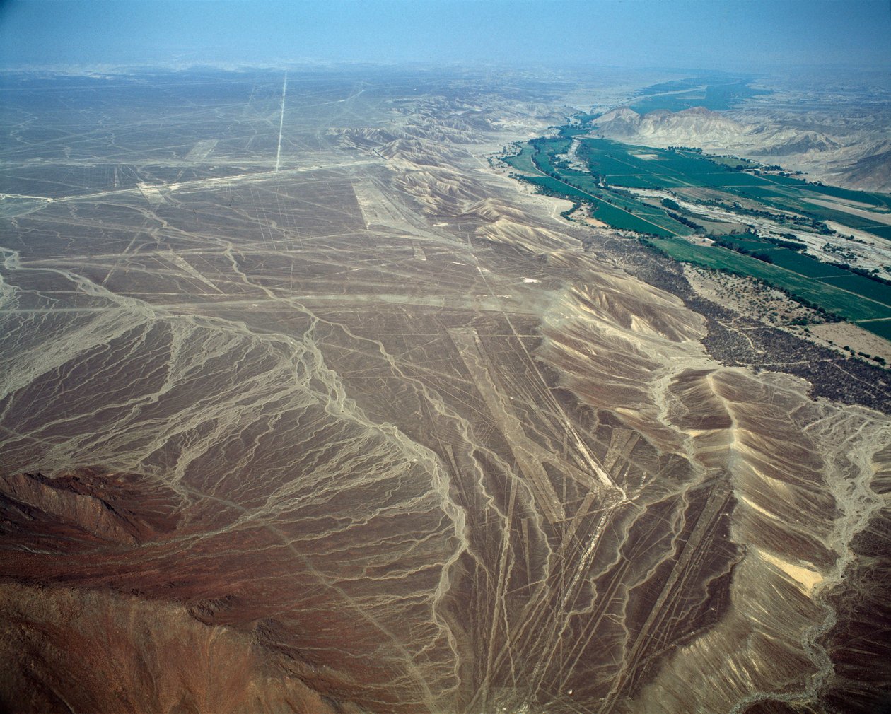 Aerial View of Nazca Lines Representing a Bird Figure