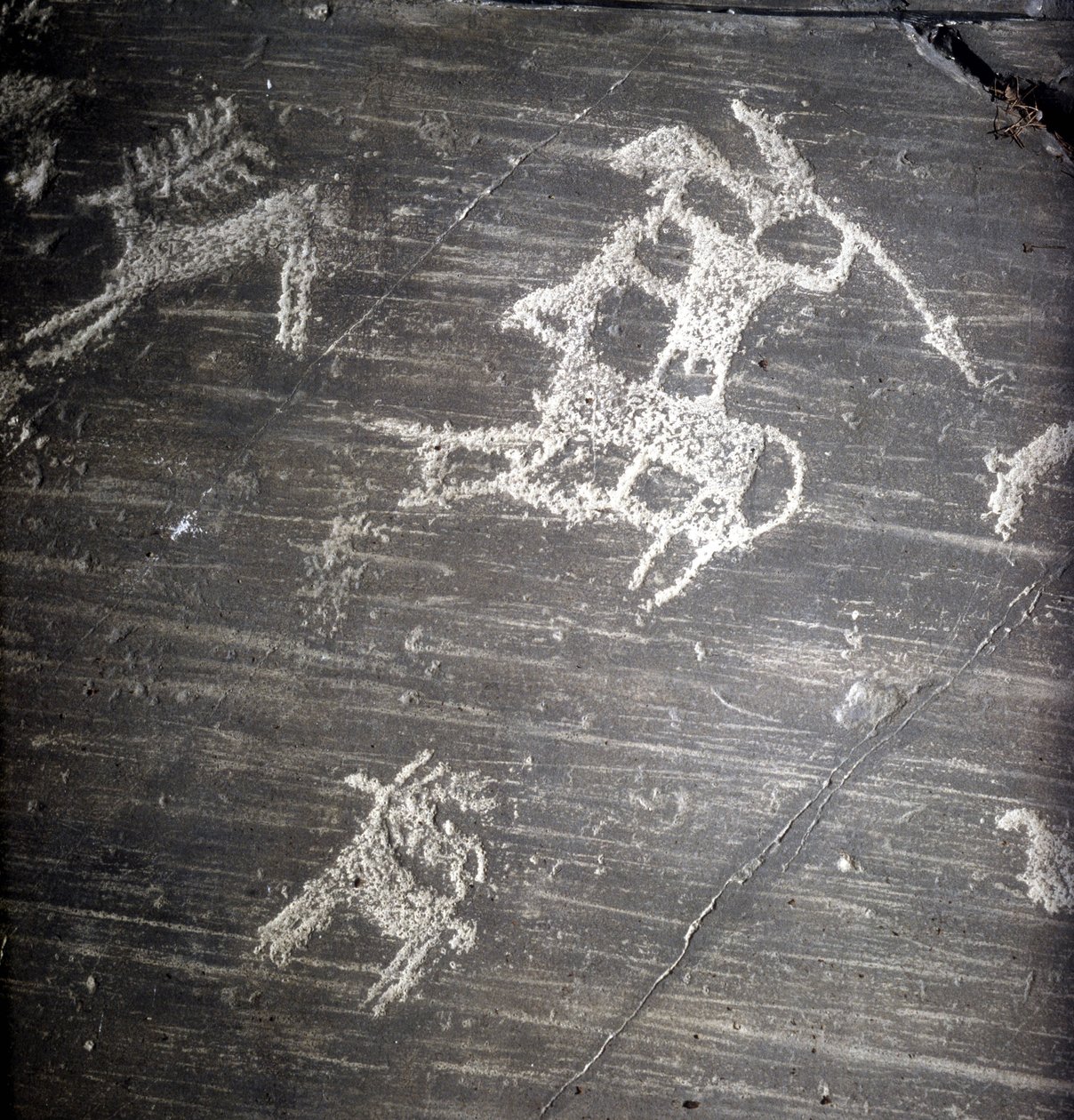 Camunni civilization, Prehistory, rock art: grave rock, representing ...