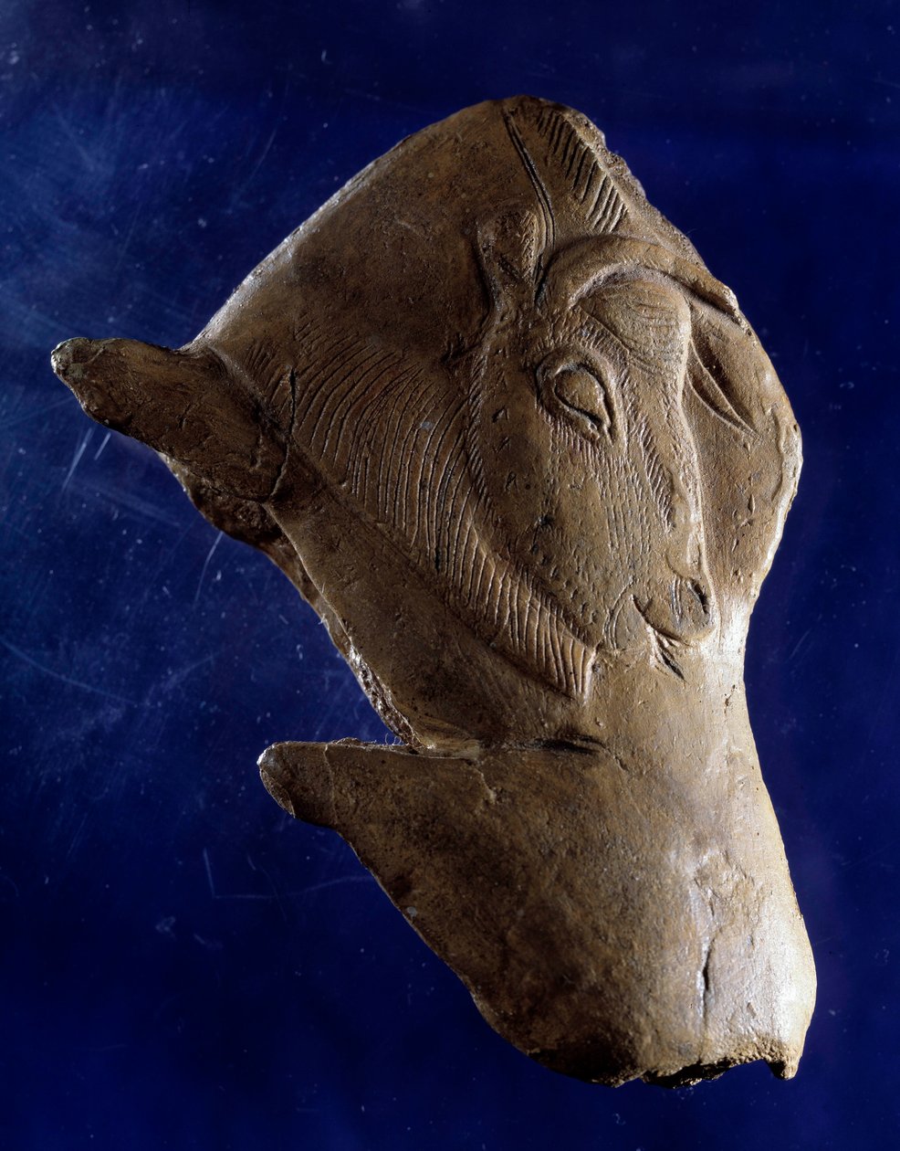 Prehistoric Art: Bison Getting Up by Prehistoric Prehistoric