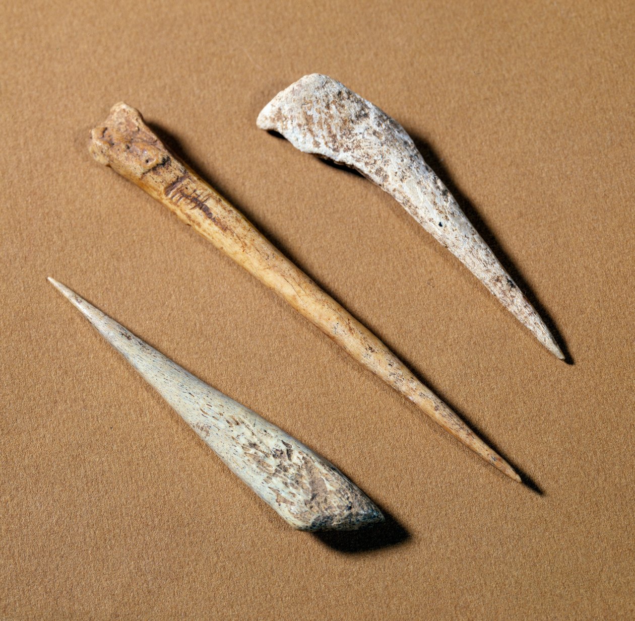 Prehistory: bone perch dating from the Paleolithic