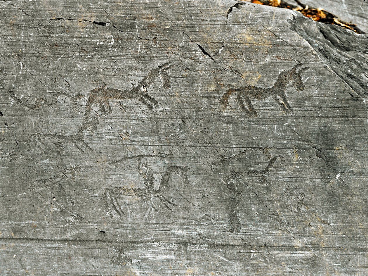 Prehistory, Civilization of the Camunni, Rock Art: Grave Rock of a ...