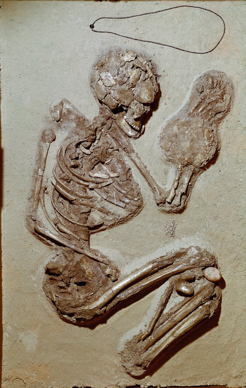 Prehistory: Female Skeleton from the Upper Neolithic