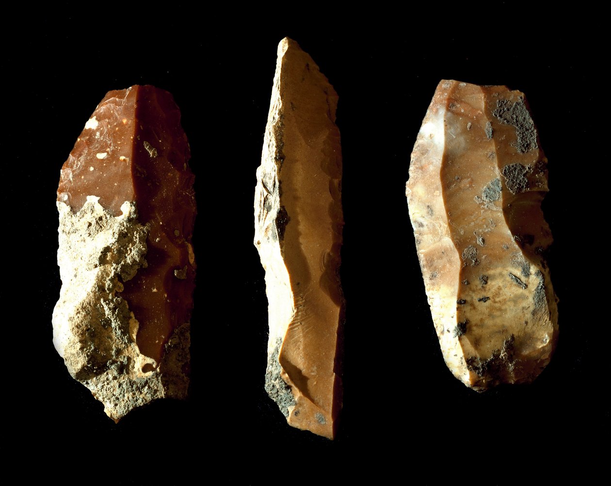 Prehistory: Flint Scrapers from Umbria