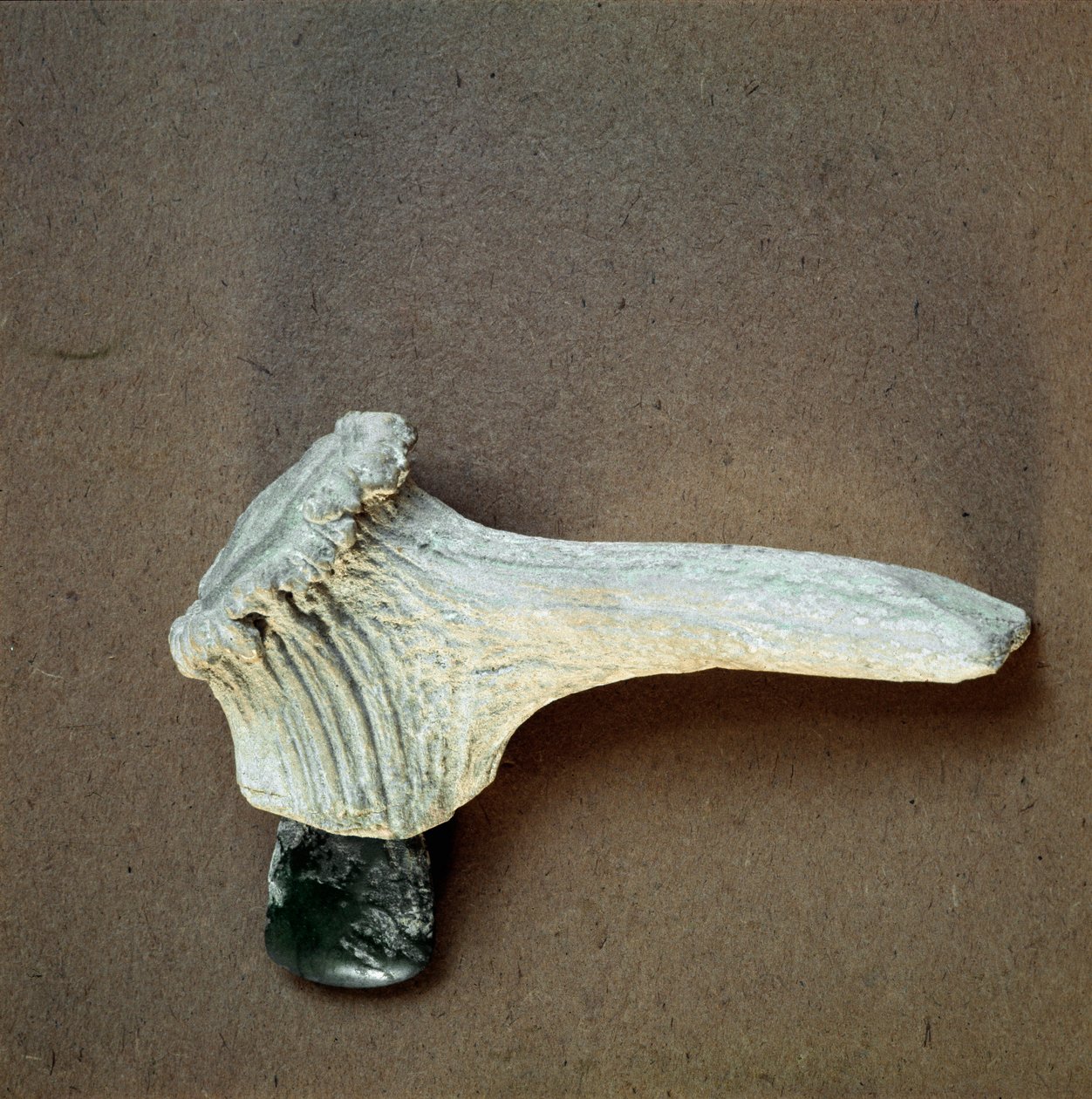 Green stone hatchet with deer horn handle from the cave of Pollera ...