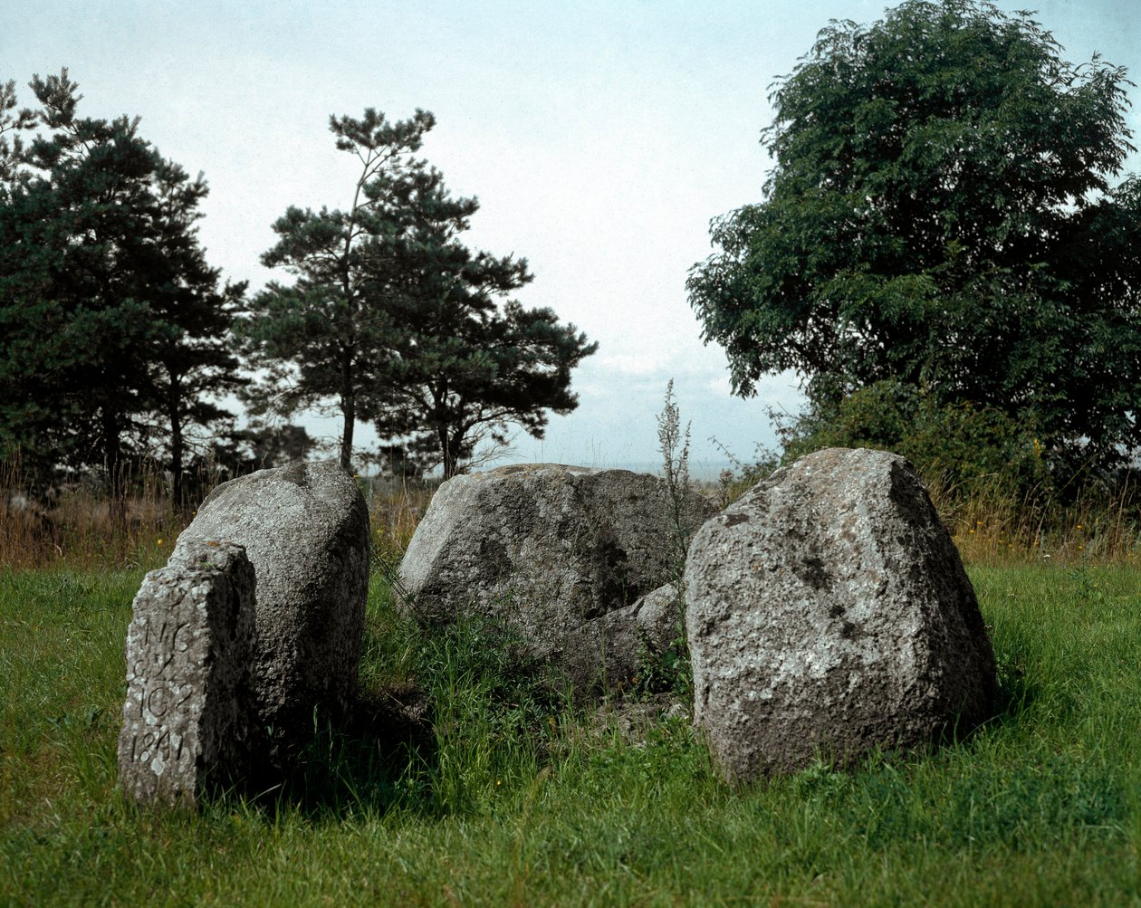 Prehistory: View of the Dolmen of Chianca with Its Entrance Corridor