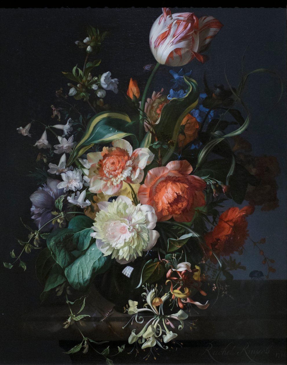 Flowers in a Glass Vase with a Tulip by Rachel Ruysch