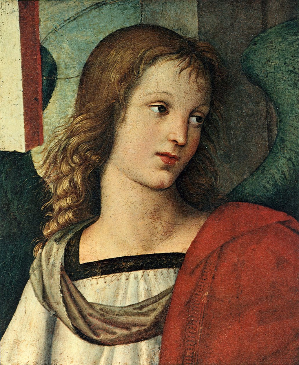 Head of an Angel by Raffaello Sanzio Raphael