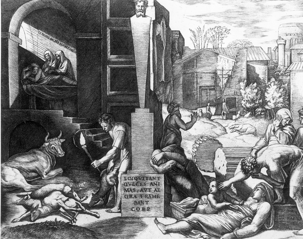 The Plague in Animals and Humans by Raffaello Sanzio Raphael