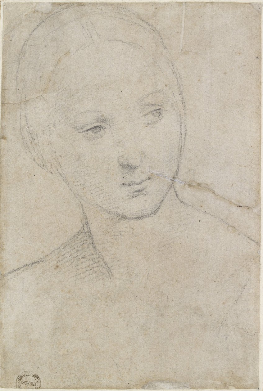 Study of the Head of a Young Woman