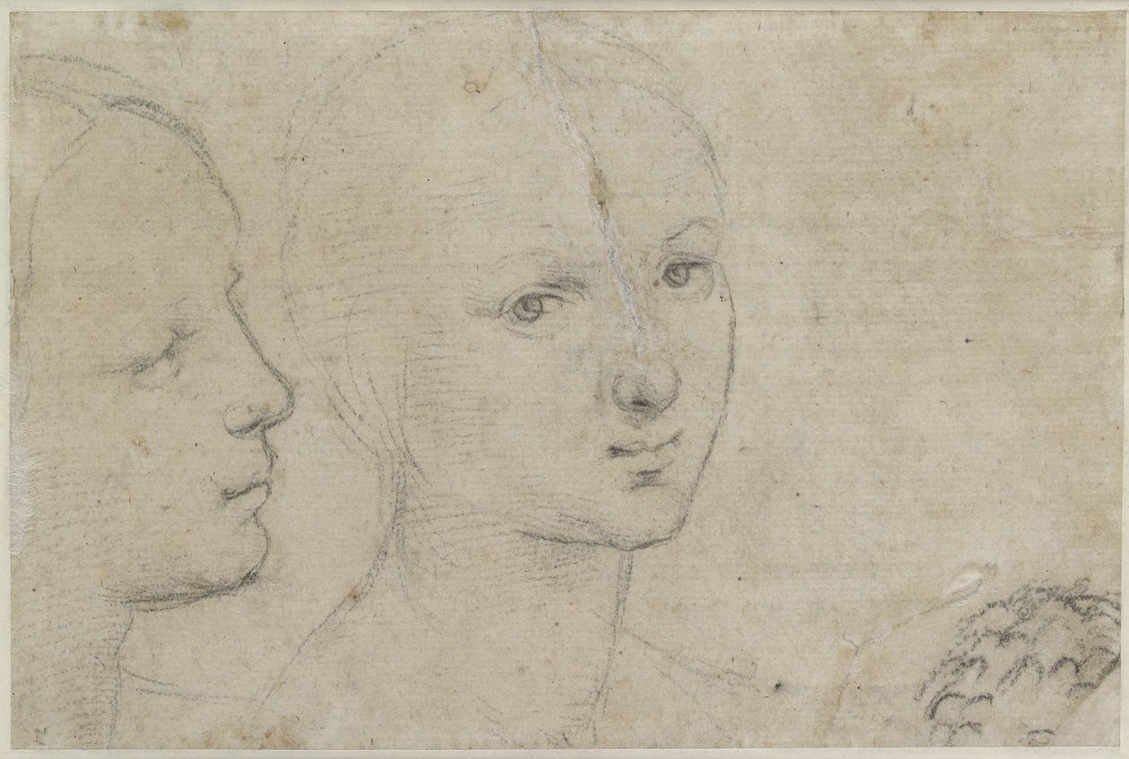 Two Studies of the Head of a Young Woman