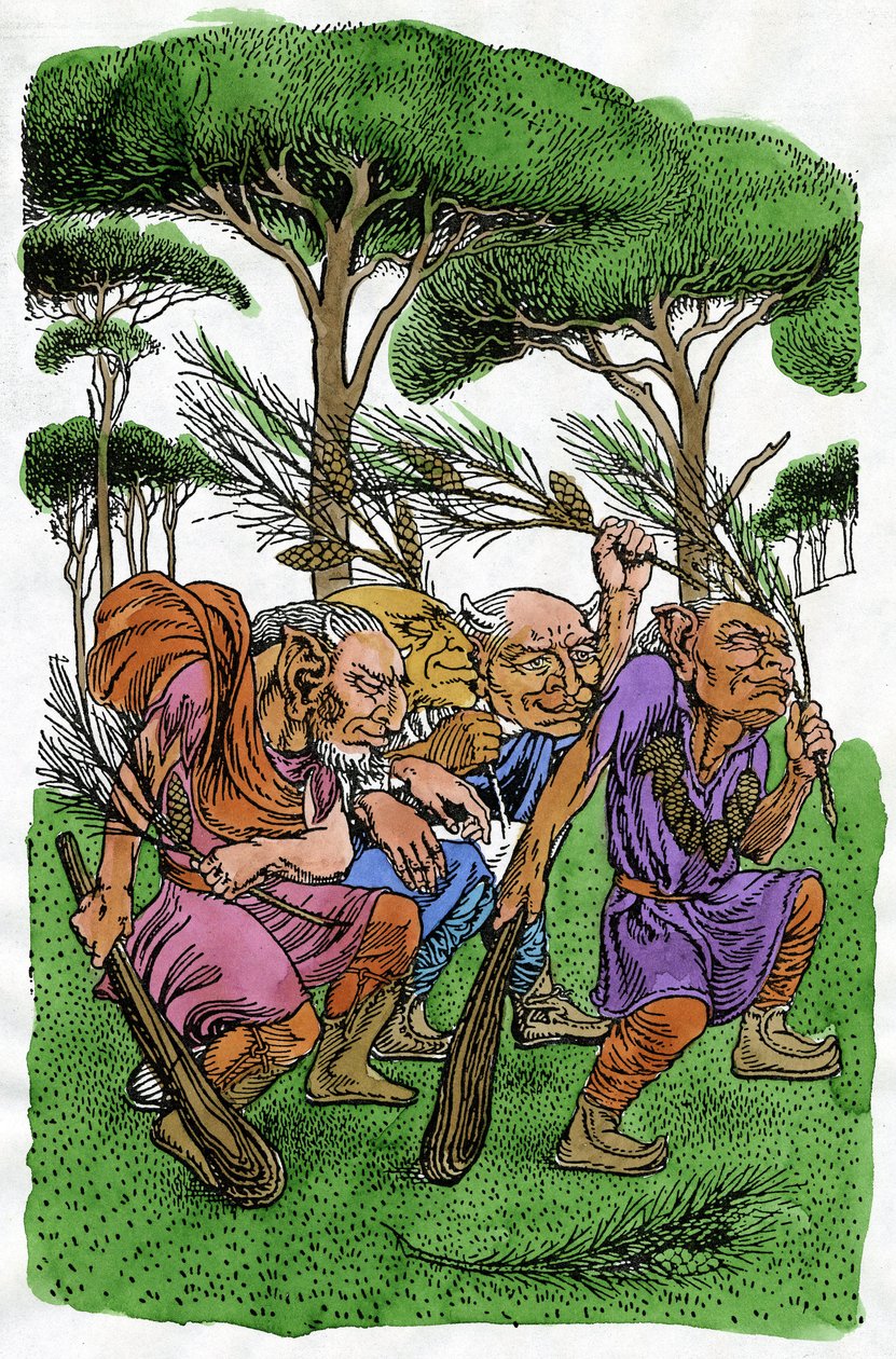 Fables: A Group of Trolls Performing a Ritual Dance in the Forest ...