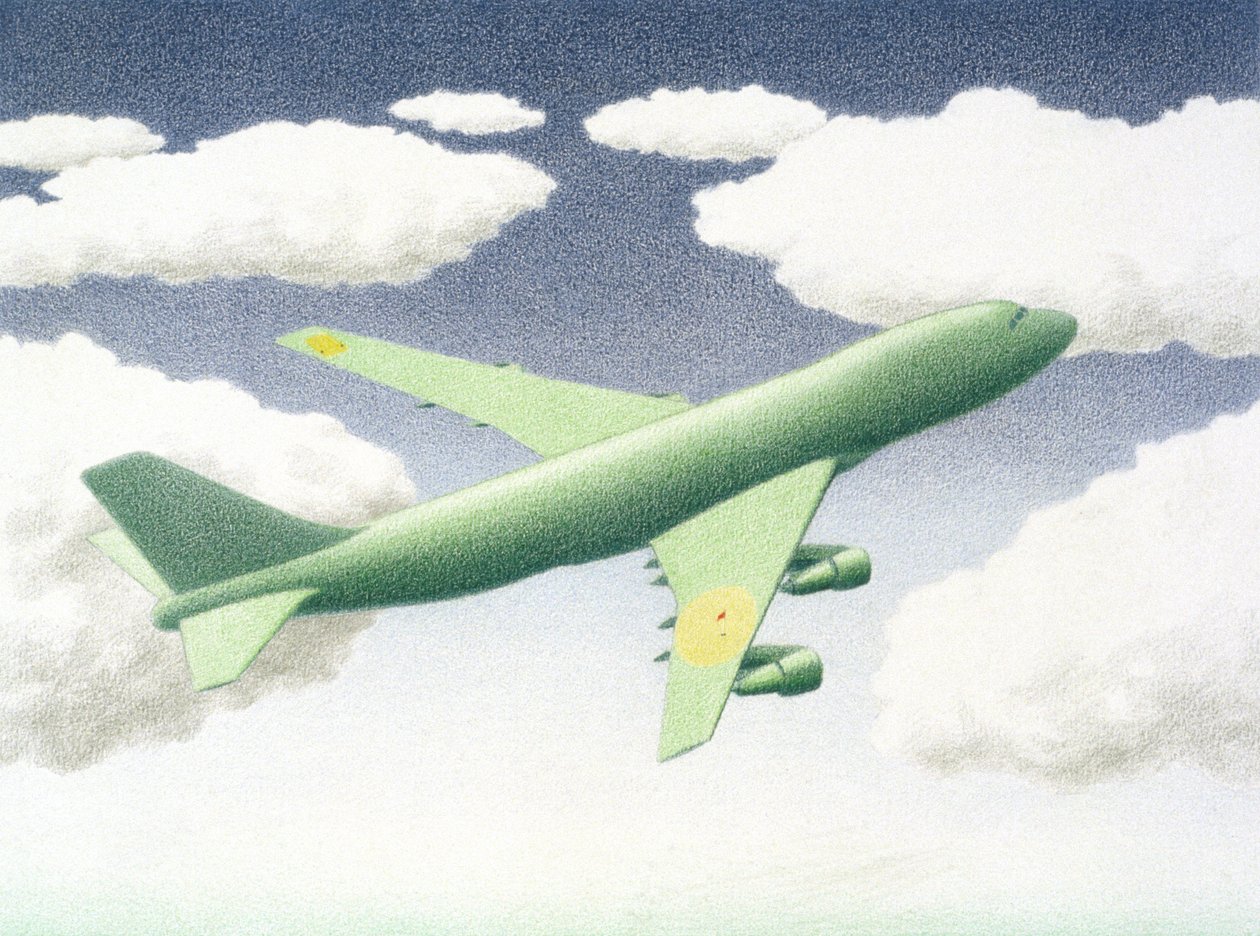 Altitude by Rene Boin: Highest-quality art reproduction