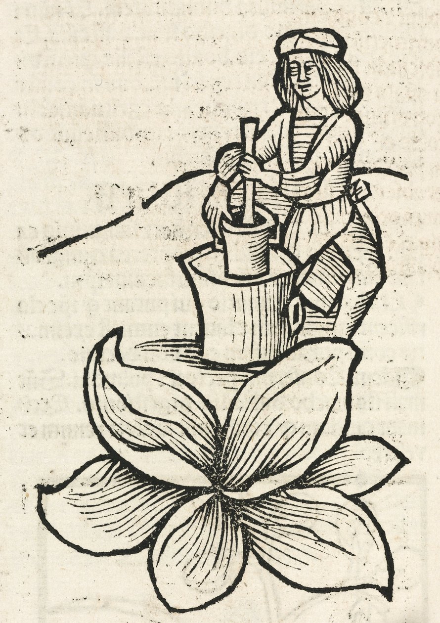 Medieval Man Using a Pestle and Mortar to Crush Plants