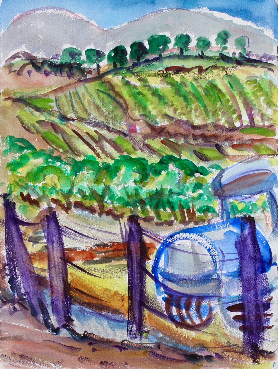 Blue Tractor, Napa Valley by Richard Fox: Fine art print