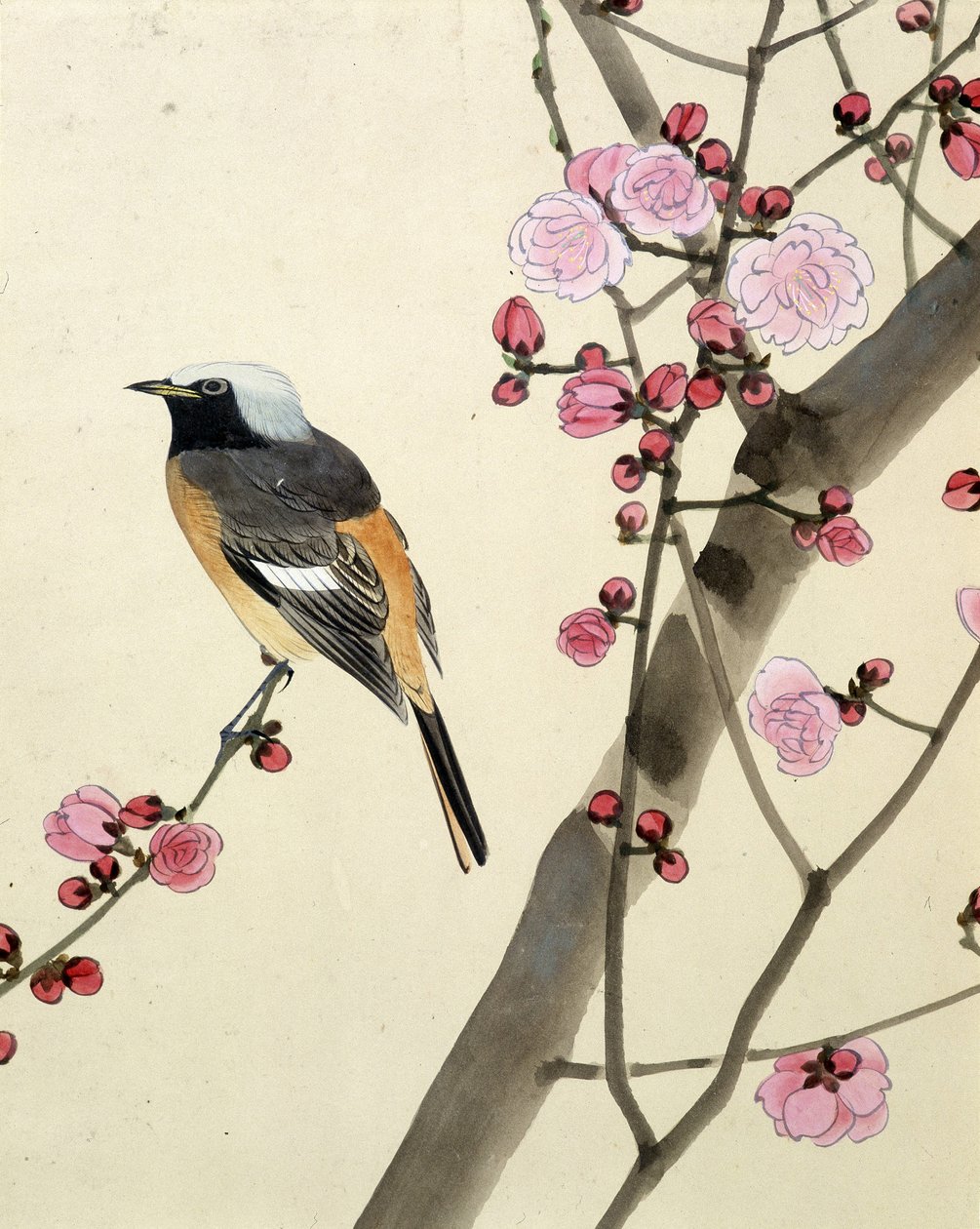 Bird by Riu Chim: Highest-quality art reproduction