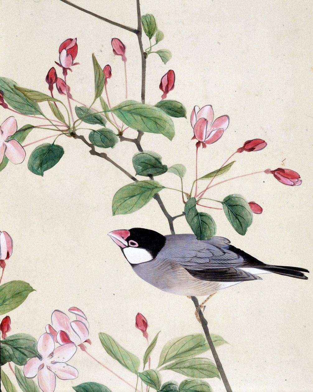 Bird - Japanese drawing by Riou Chim, late 19th century