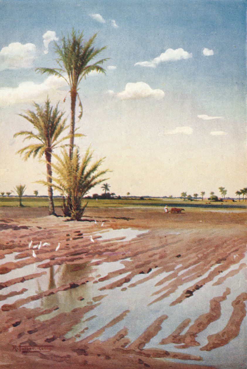 An Irrigated Field, c1880, 1904