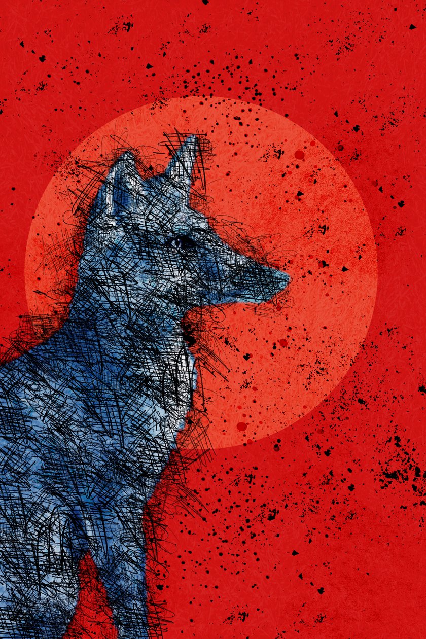 Blood Moon Fox by Roberta Murray: Buy fine art print