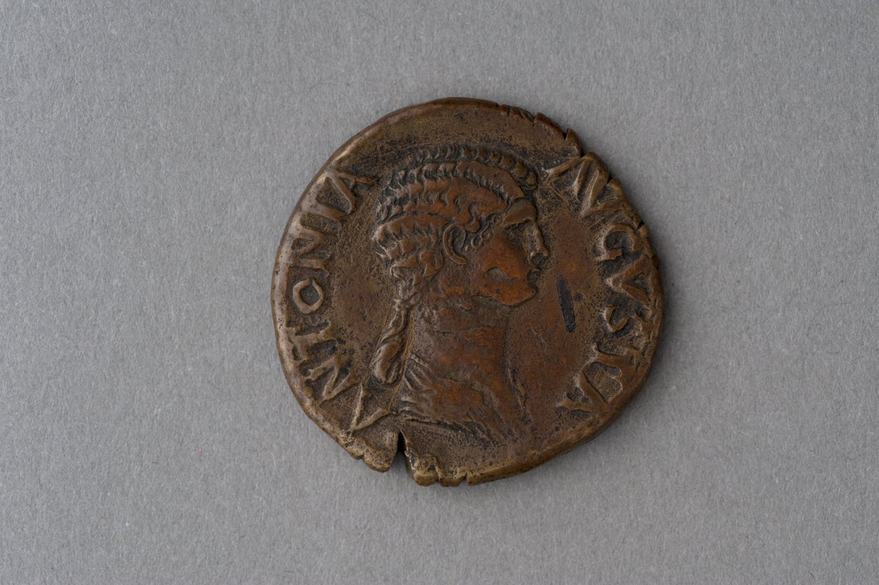 As Coin of Antonia by Roman: High-quality fine art print