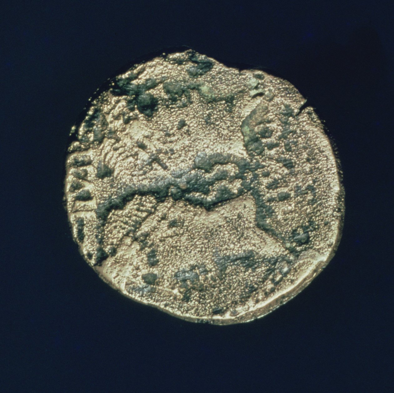 Coin with Heads of Julius Caesar and Augustus by Roman