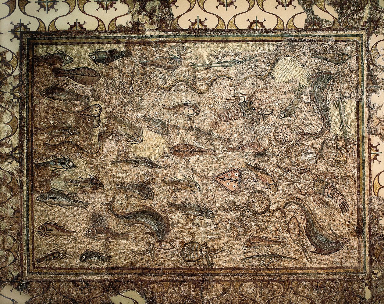 Roman Art: Fish Mosaic by Roman: Buy fine art print