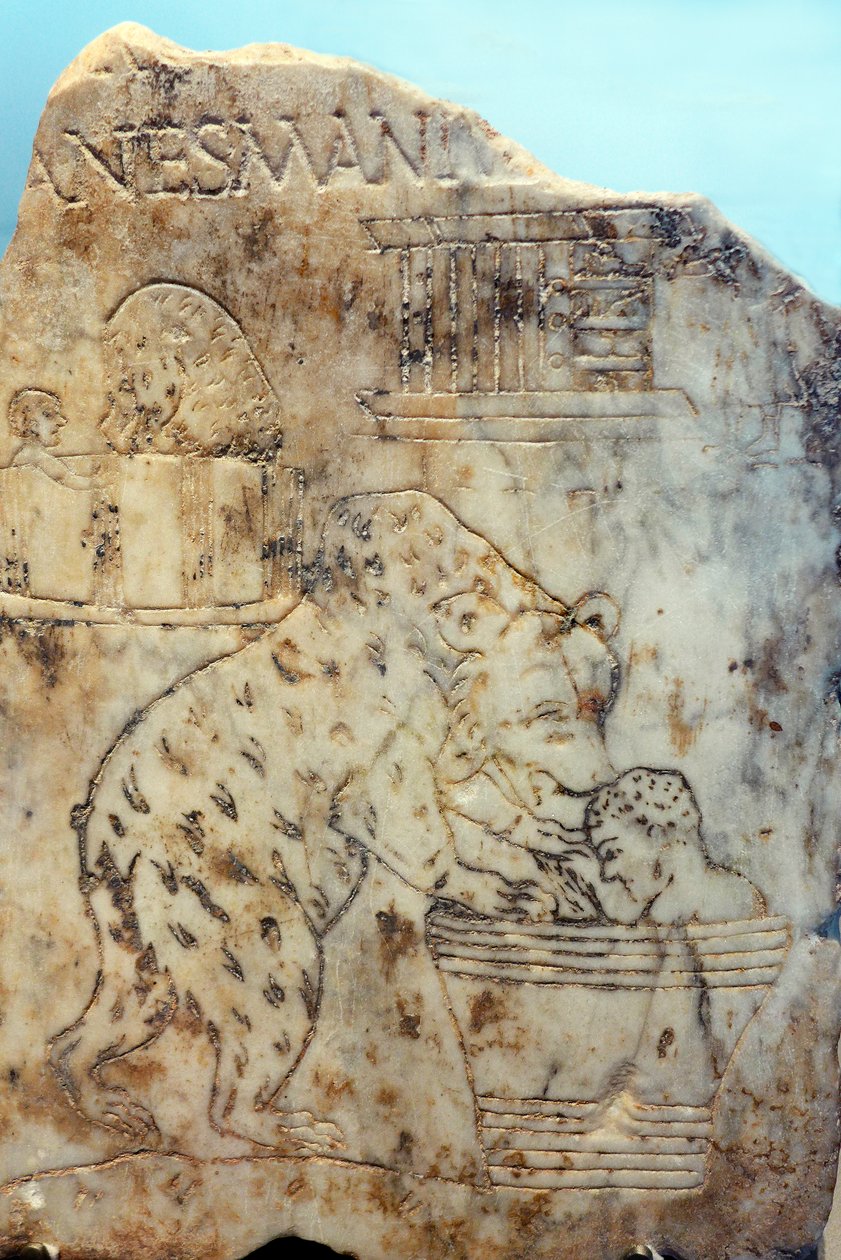 Bear Show, 2nd - 3rd century by Roman: Buy fine art print