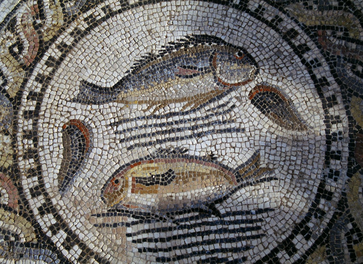 Ancient Mosaics Fish Mosaic Discovered In Israeli 'Burnt Church' May