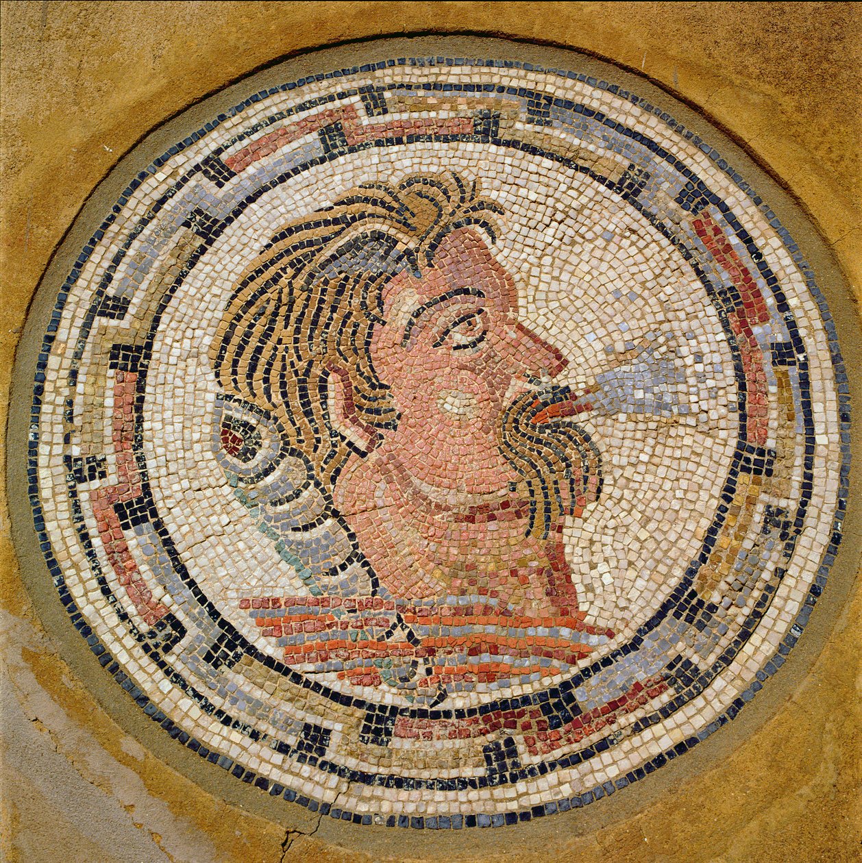 Head of a Man, Roman Mosaic from the House of Orpheus, 3rd Century AD